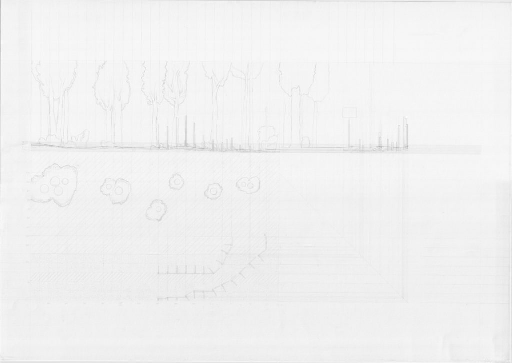 A walk on the Rhône | AliceBlogs