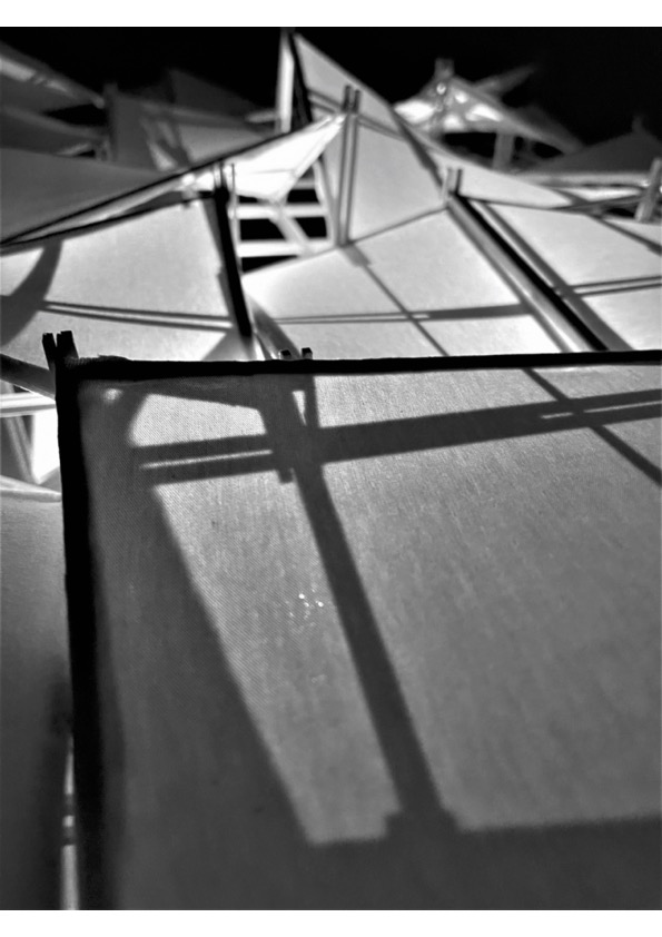 The flea market – Model shadows | AliceBlogs