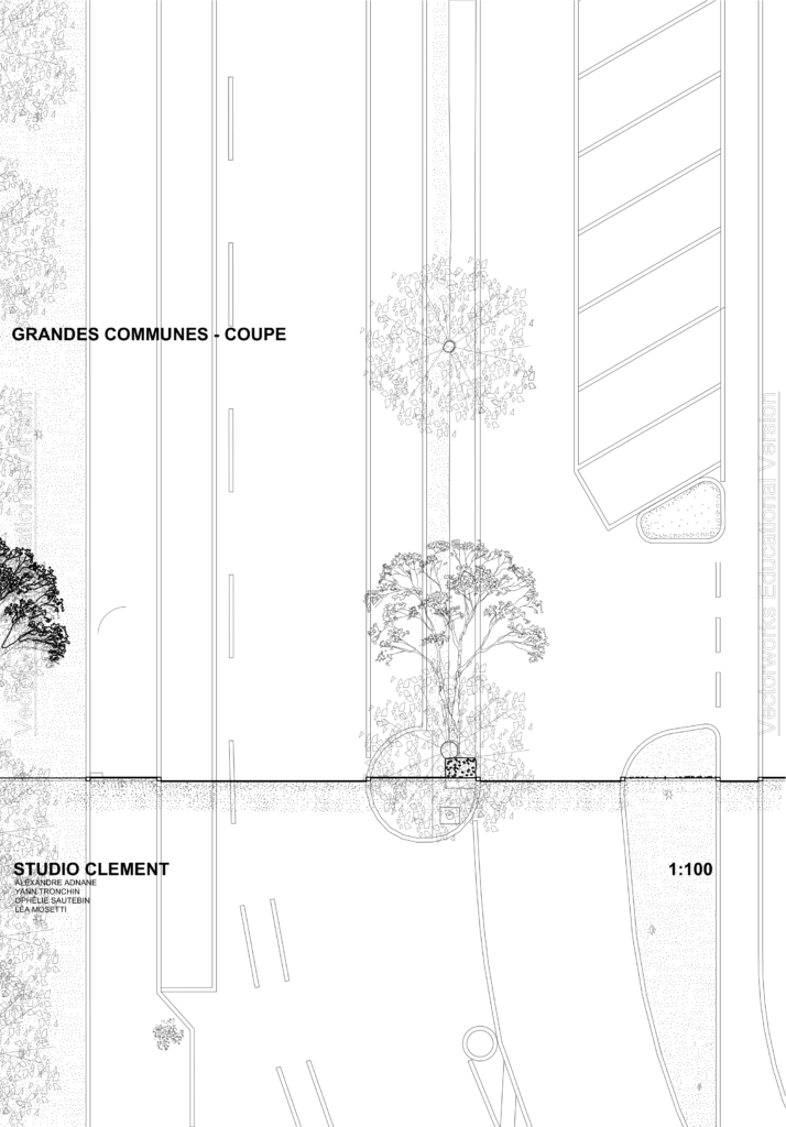 Salles_Promontoire_ Plan et Coupe à l’échelle 1:100 | AliceBlogs