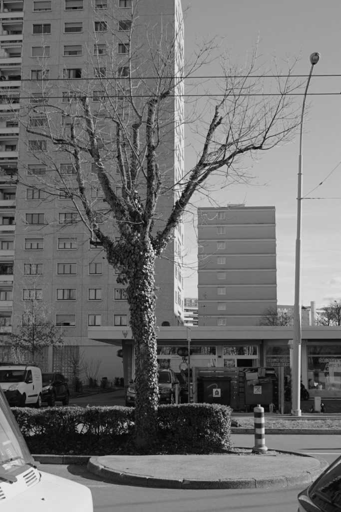 Photographies du site – Réconciliation | AliceBlogs