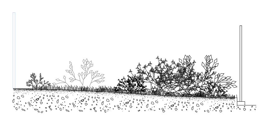 Sections of the island | AliceBlogs