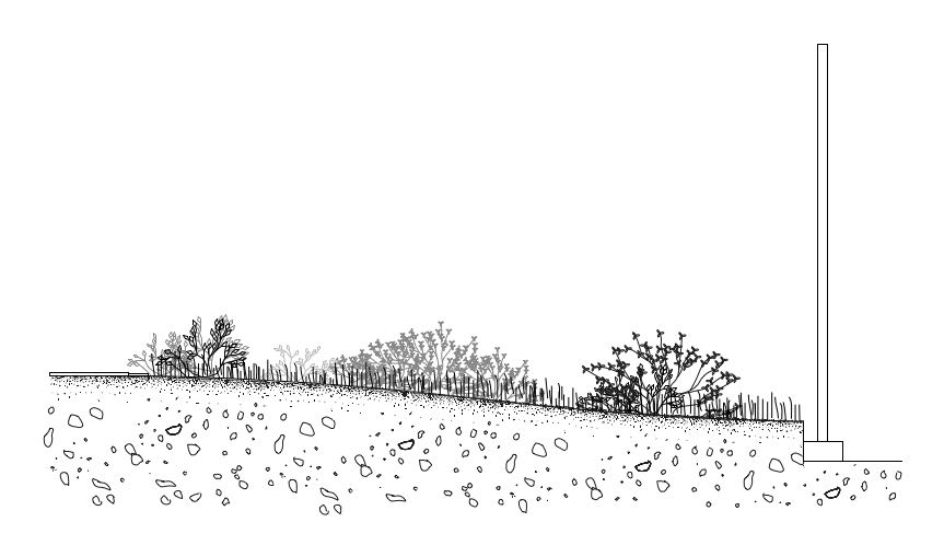 Sections of the island | AliceBlogs