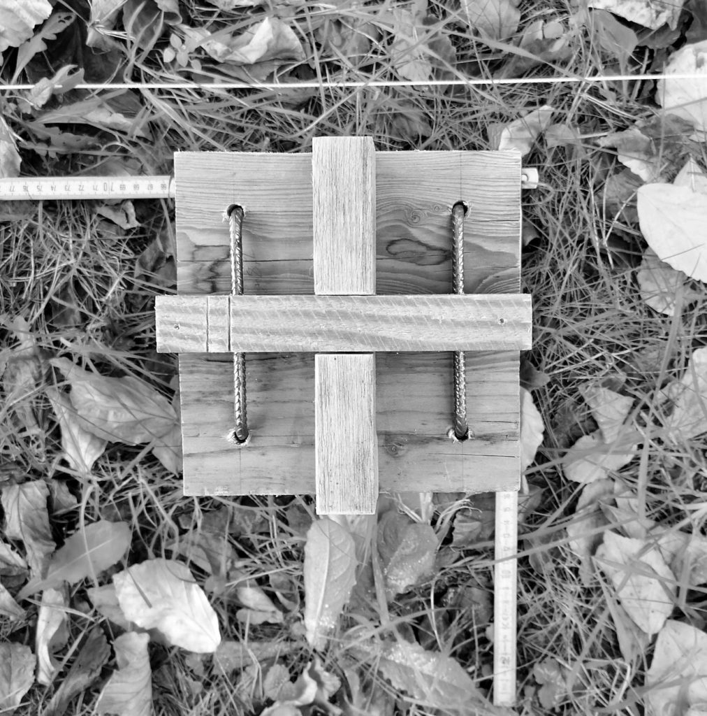 Earth and Wood | AliceBlogs
