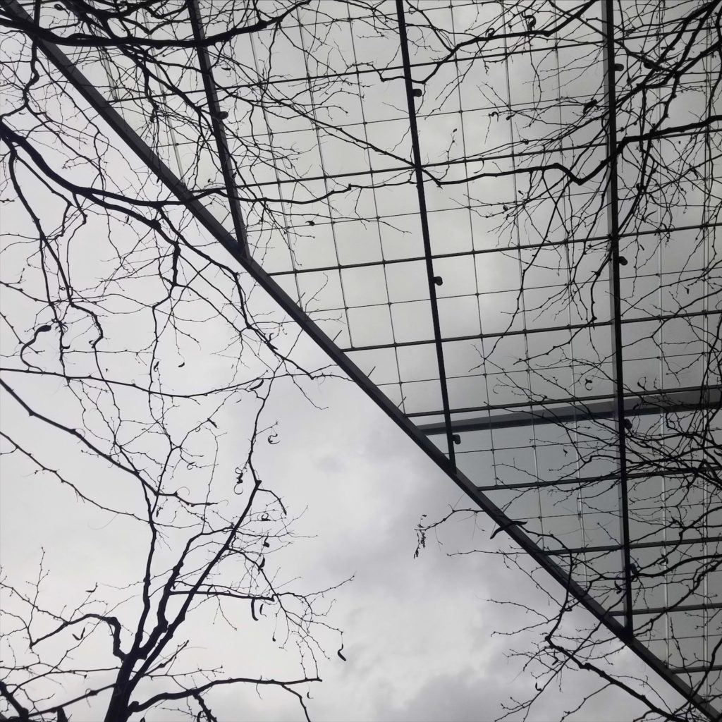 An island evolution | AliceBlogs