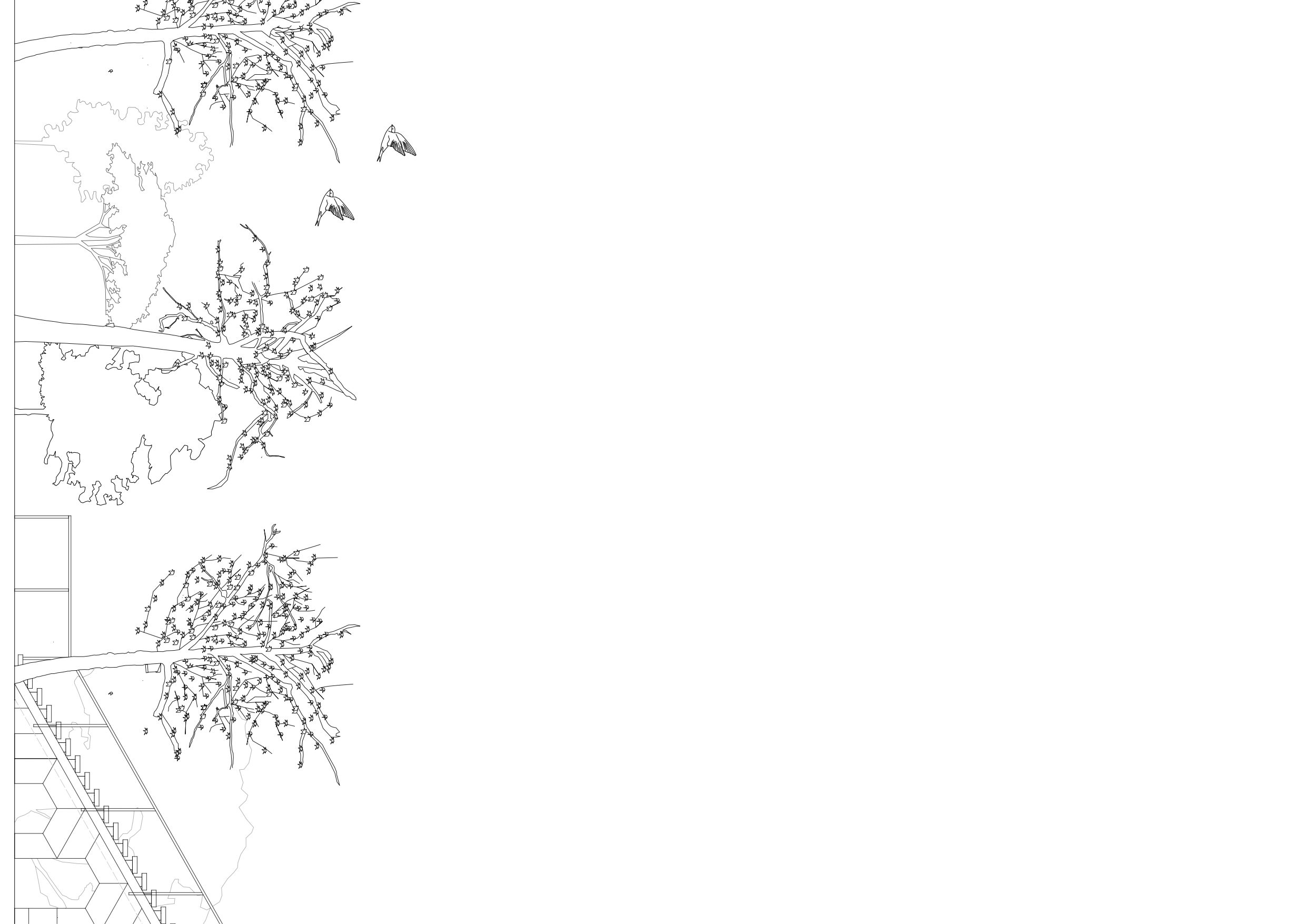 Drawing – Stairway to Heaven | AliceBlogs
