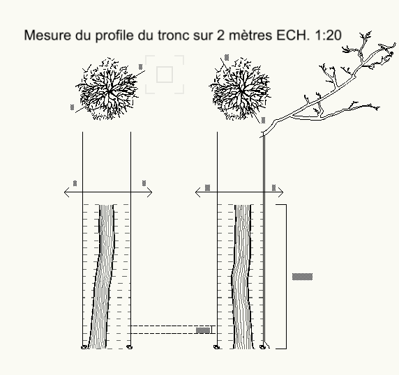 Plans du modèle architectural d’un arbre | AliceBlogs