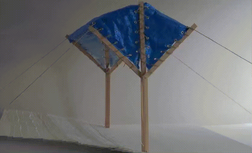 COCON GIF | AliceBlogs